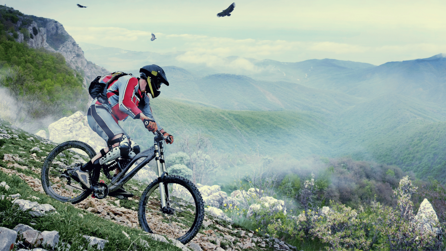 Trek X Caliber 8 vs Trek X Caliber 9 Mountain Bike (2023!) - Reviews Bike